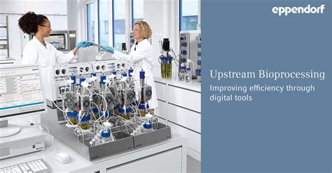 Improving Upstream Bioprocessing Efficiency With Digital Tools