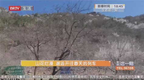 山花烂漫 邂逅开往春天的列车 市郊铁路s2线增开车次应对客流高峰北京时间