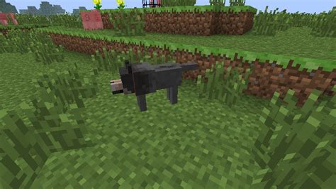 Wolf Pack Black Wolf Minecraft Texture Pack