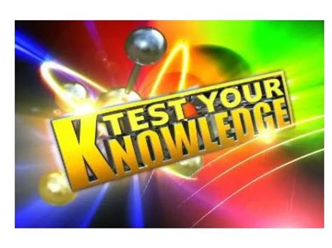 Basic Computer Skills Test Questions Pdfdownload Free Software Programs Online Backuppl