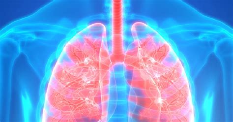 폐렴 사망률 암·심장질환 이어 3위로 급등