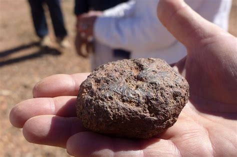 Pin On The Opal Project