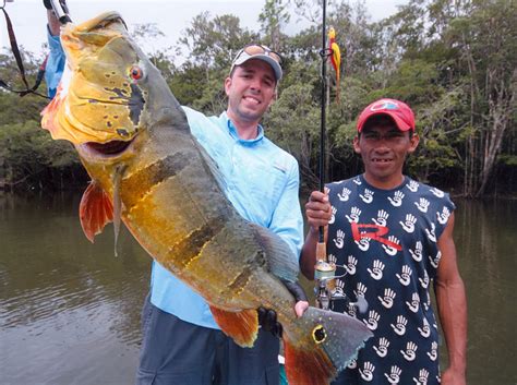 Big Fishes Of The World Peacock Bass Speckled Cichla Temensis