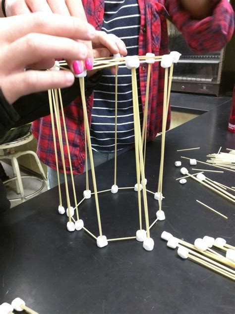 Category Skeletal System Human Bio