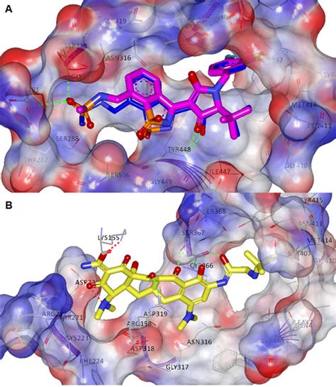 A Overlay Of Docked And Pdb Coordinates Of 3d5m Ligand Original Ligand Download Scientific