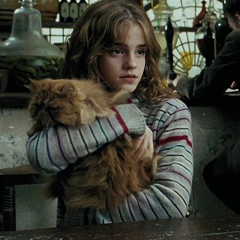 Hermione Granger Icon ♡ Harry Potter Fandom Harry Potter Film Hermione