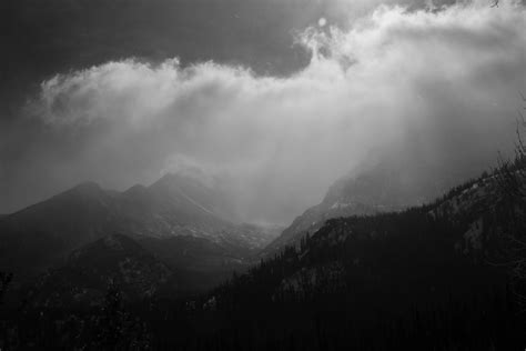 무료 이미지 나무 자연 숲 눈 구름 검정색과 흰색 하늘 안개 햇빛 아침 언덕 새벽 분위기 산맥 날씨