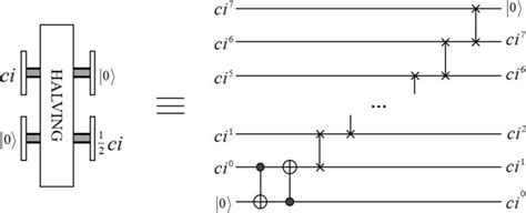 A Circuit Network For The Halving Module Download Scientific Diagram