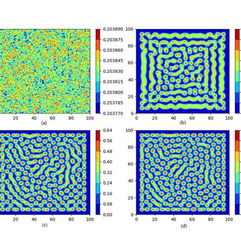 Spatial Distributions Developed By Infected Individual At Different Download Scientific Diagram