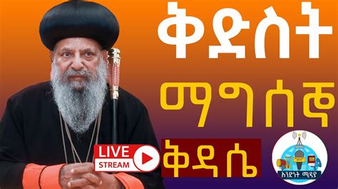 🔴ቀጥታ ከመንበረ ፓትርያሪክ ቅድስተ ቅዱሳን ድንግል ማርያም ገዳም Youtube