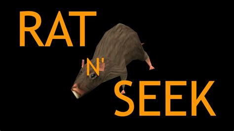 Rat N Seek Garry S Mod Gamemode Idea YouTube
