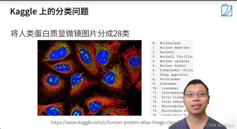 【pytorch神经网络基础理论篇】 08 Softmax 回归 损失函数 图片分类数据集sert Csdn博客