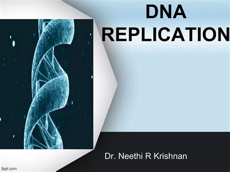 Dna Replication And Repair Ppt