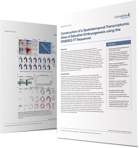 What Is Spatial Transcriptomics For Spatial Biology Keyinfo