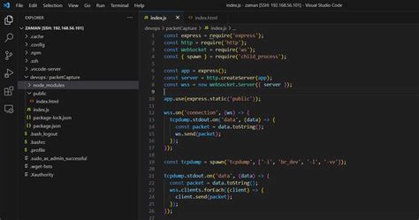 Real Time Packet Capture Of Linux Bridge Ping Namespaces And Display With Websocket Lets Do