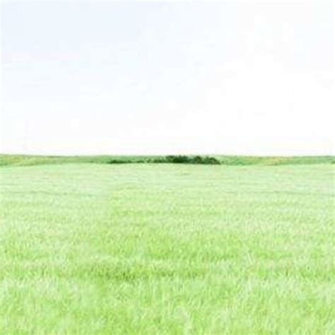 Xiaoying Zhang Beihang University Buaa Beijing Buaa Buaa