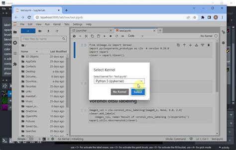Generating Jupyter Notebooks From The Napari Assistant — Image Data Science With Python And
