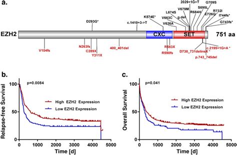 Loss Of Function Mutations In The Histone Methyltransferase Ezh2