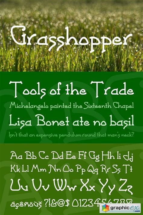 Grasshopper Font Free Download Vector Stock Image Photoshop Icon