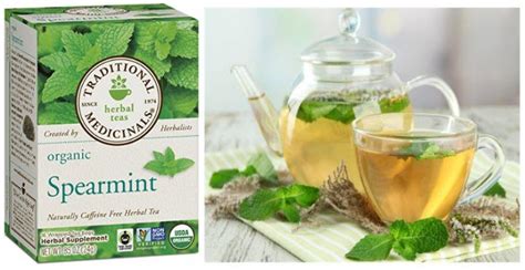 What Are The Crucial Health Benefits Of Spearmint Tea