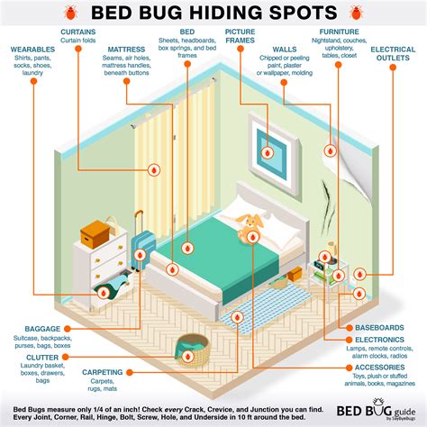 Ultimate Guide For A Bed Bug Free Life Bed Bug Guide