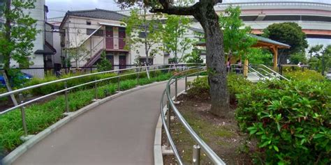 堀切菖蒲園の菖蒲祭りの見頃期と開花状況｜真横に高速道路ズバーン？【東京・葛飾区】│東京チカーバ｜東京と近場の観光and散歩スポットを巡るブログ