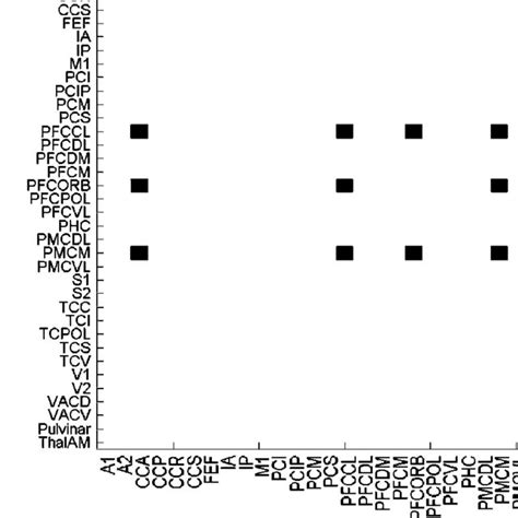 The Functional Connectivity Obtained From Wavelet Covariance Matrix