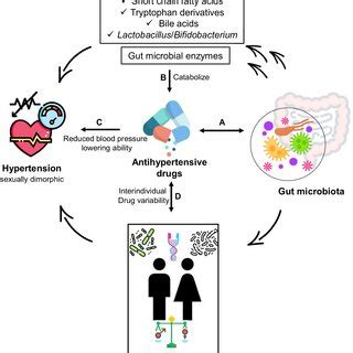 Kdm6a Is A Primary Sex Biasing Factor Responsible For The Protec Tive Download Scientific