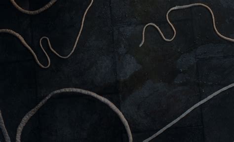 I Think Characters Should Have Sex While Hating Every Second Of It And