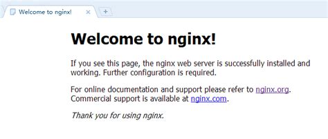 Windows下nginx的安装与使用nginxwindows Csdn博客
