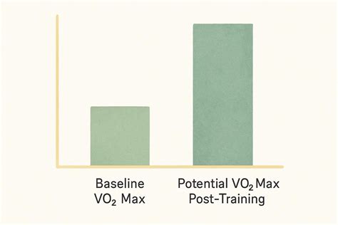 Vo₂ Max Chart Benchmarks And Insights For Cardiovascular Health Bodyspec