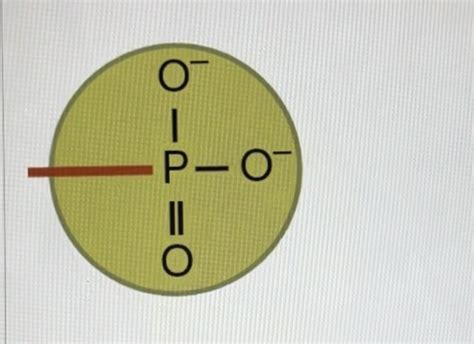 Unit 4 Quiz 4 Flashcards Quizlet