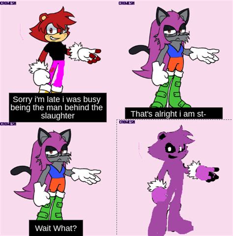 Stupid Meme I Made With My Sonic Ocs Fandom