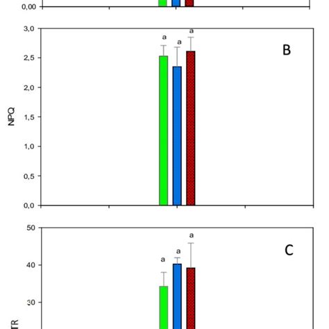 Photochemical Qp And Non Photochemical Npq Quenching And Electron Download Scientific