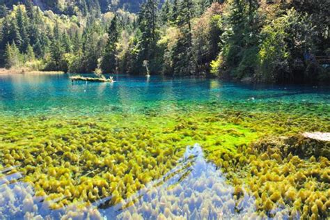 2020九寨沟11月份能去吗 及九寨沟旅游攻略旅泊网
