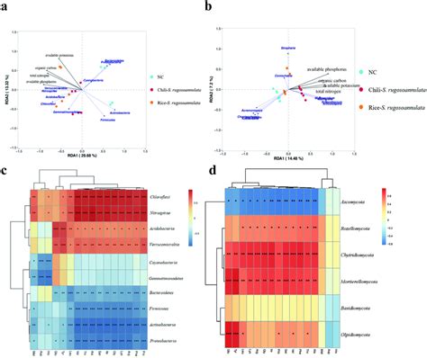 Rda Analysis And Correlation Analysis Of Bacteria And Fungi At The Download Scientific Diagram