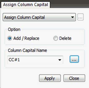 Assign Column Capital
