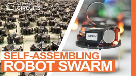 Self Assembling Robot Swarm Kilobot Youtube