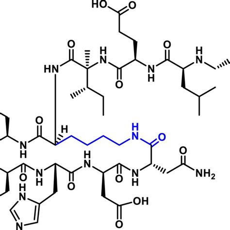 Chemical Structure Of Bacitracin A The Side Chain‐to‐tail Closure Is