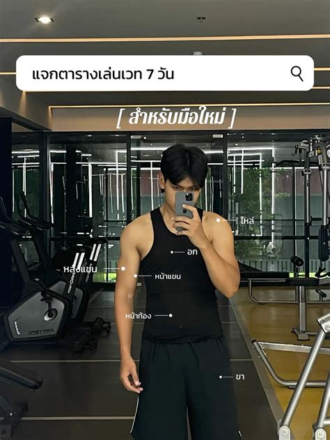 How To แจกตารางเล่นเวท 7 วัน สำหรับมือใหม่ แกลเลอรีที่โพสต์โดย Alfurkon Samae Lemon8