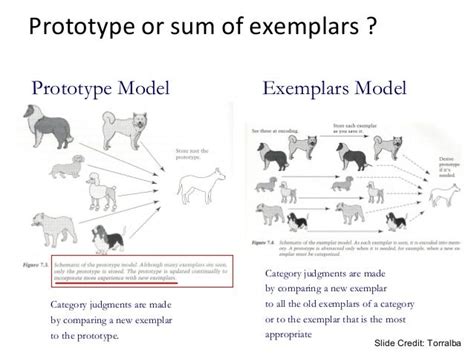 Opan Otol Msoia Bgmisms Prototype Vs Exemplar