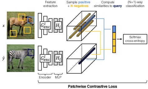 Patchwise Contrastive Loss Both Images X Andˆyandˆ Andˆy Are Encoded Download Scientific