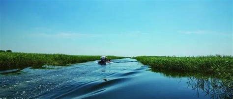 河北省生物多样性保护工作初见成效研究物种动物