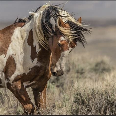 Greg Thompson YouTube