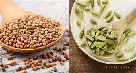 Coriander Vs Cardamom Names That Look The Same Oftenly Confused