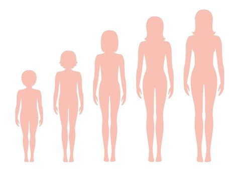 Women S Body Proportions Changing With Age Girl S Body Growth Stages