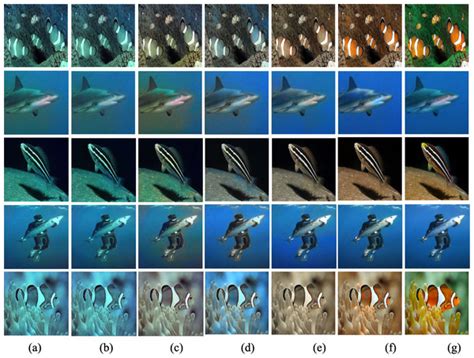 A Hybrid Attention Network With Convolutional Neural Network And Transformer For Underwater