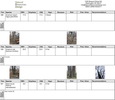 Tree Inventory Software For Municipalities Arborists Cities Towns