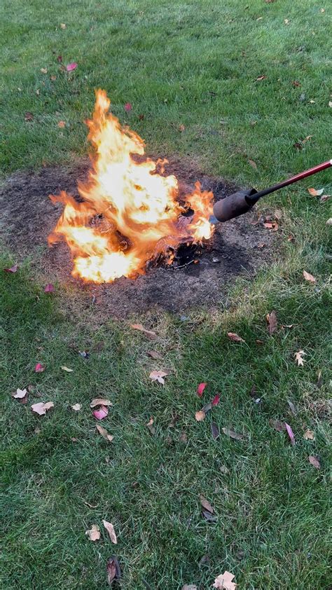 Aaron Cramer Cramer Patent And Design • Instagram Photos And Videos