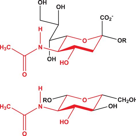 Figure 1 From Recent Advances In Employing Molecular Modelling To
